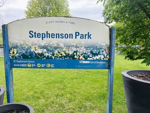 Centre 55’s Spring Festival set for this Saturday at Stephenson Park – Beach Metro Community News